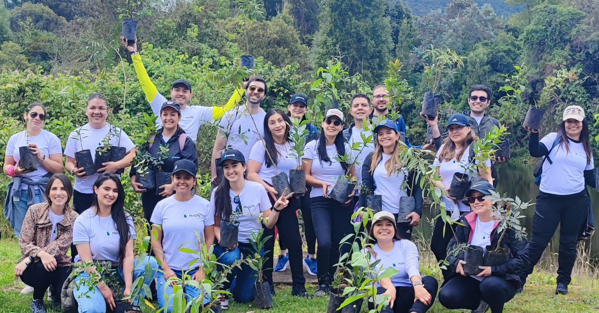 Colombia | MetLife Careers